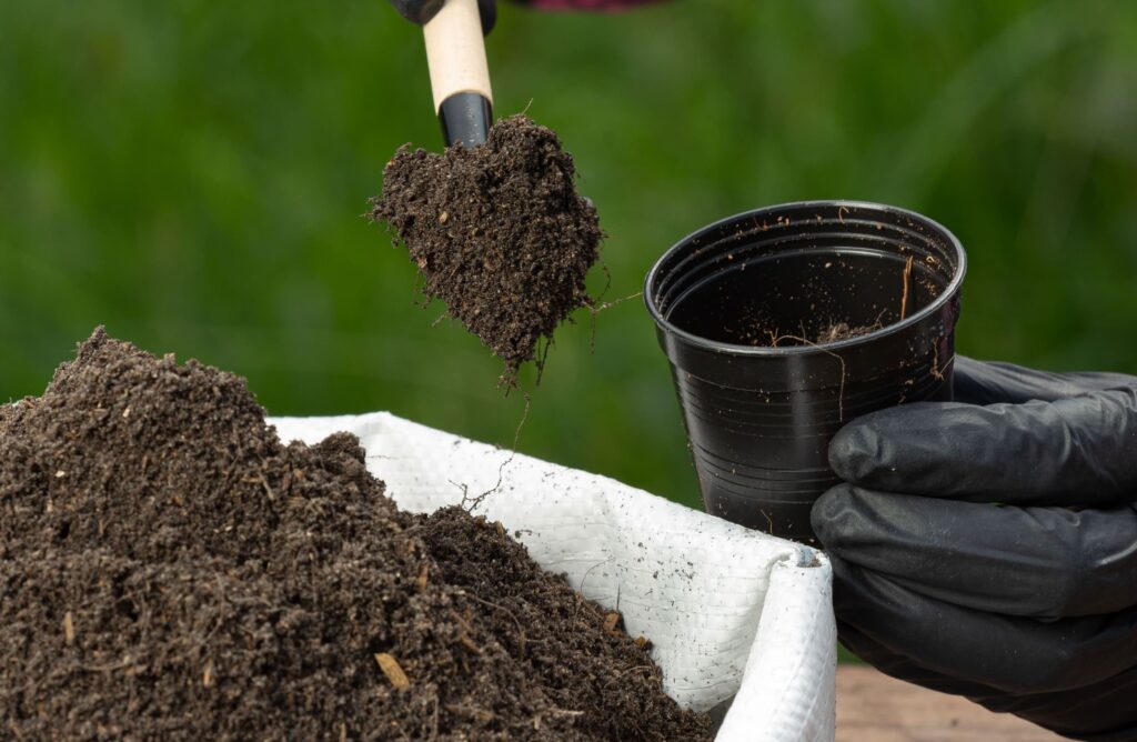 Menilik Potensi Ekspor Pupuk di Indonesia dan 8 Jenisnya