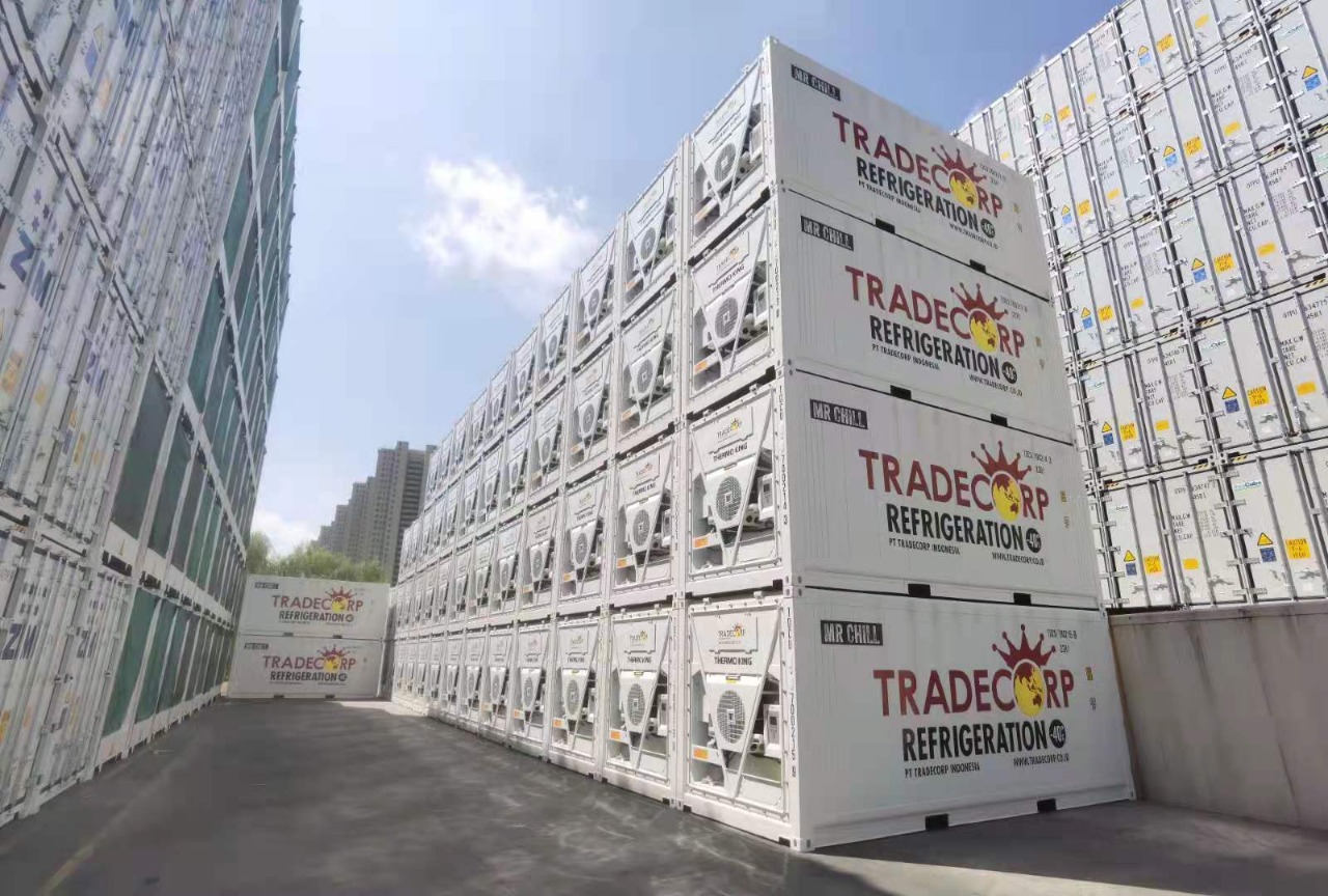 Jasa Reefer Container 20ft & 40ft, Sewa & Jual Berbagai Tipe