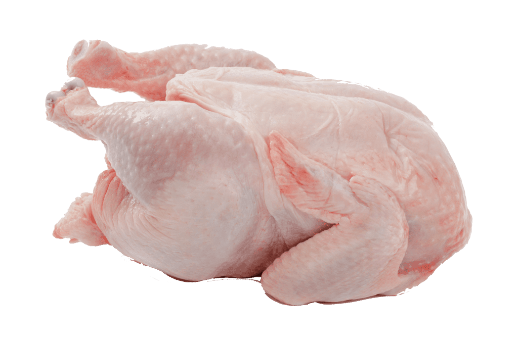 Jual Cold Storage Ayam & Daging Unggas Harga Terbaik