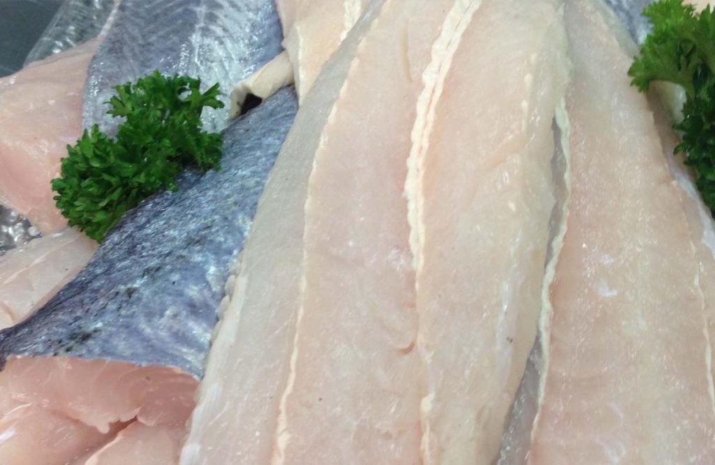 Lean Fish Cold Storage Containers Sale & Rent | Tradecorp