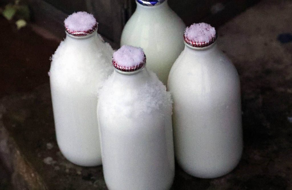 Cold Storage Containers Storing Milk & Dairy Products for Sale